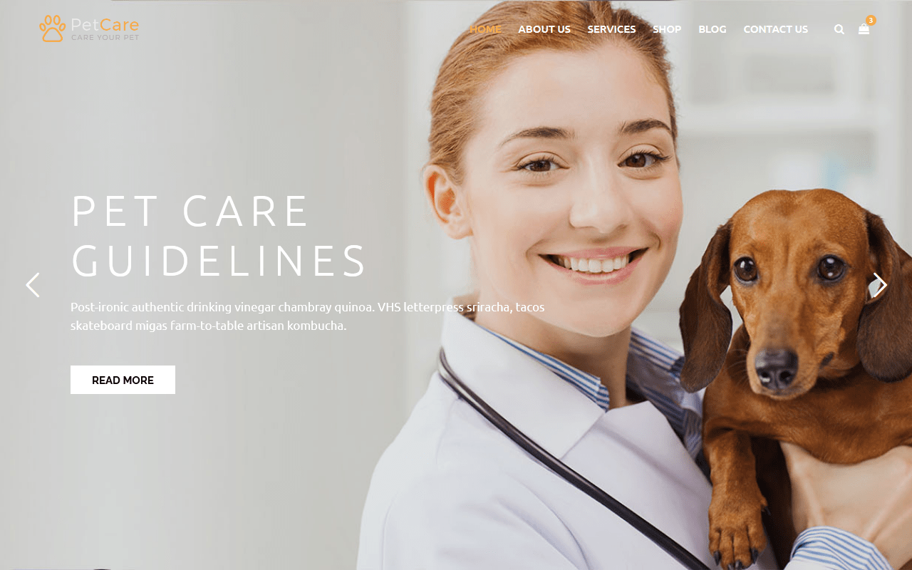 WinKit: Winner’s Development Kit | Multipurpose HTML Template ...